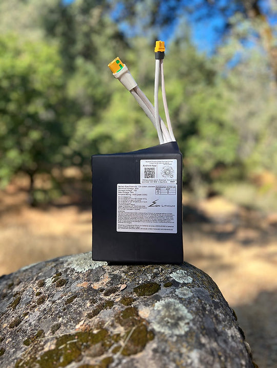 ETM™ 72v Mighty Mini Battery | Electro & Co – Electro & Company Inc.