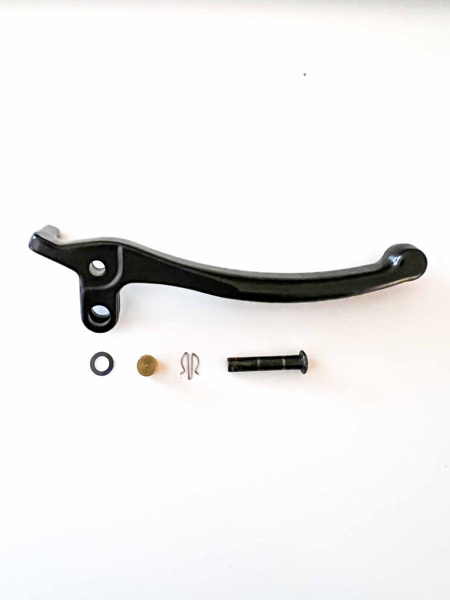 Rizzler Bike Essential Replacements – Electro & Company Inc.