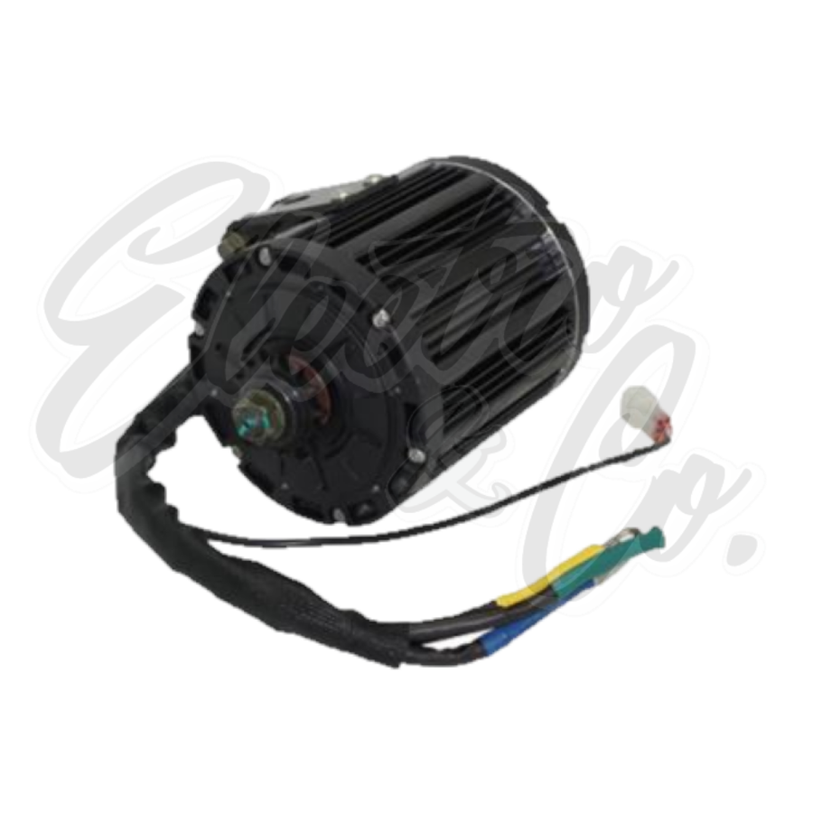 Motors – Electro & Company Inc.